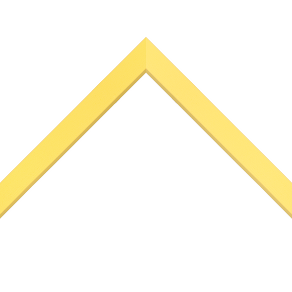 Pastel Yellow – The Frame Company